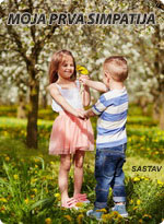 Moja prva simpatija - sastav | Lektire.me